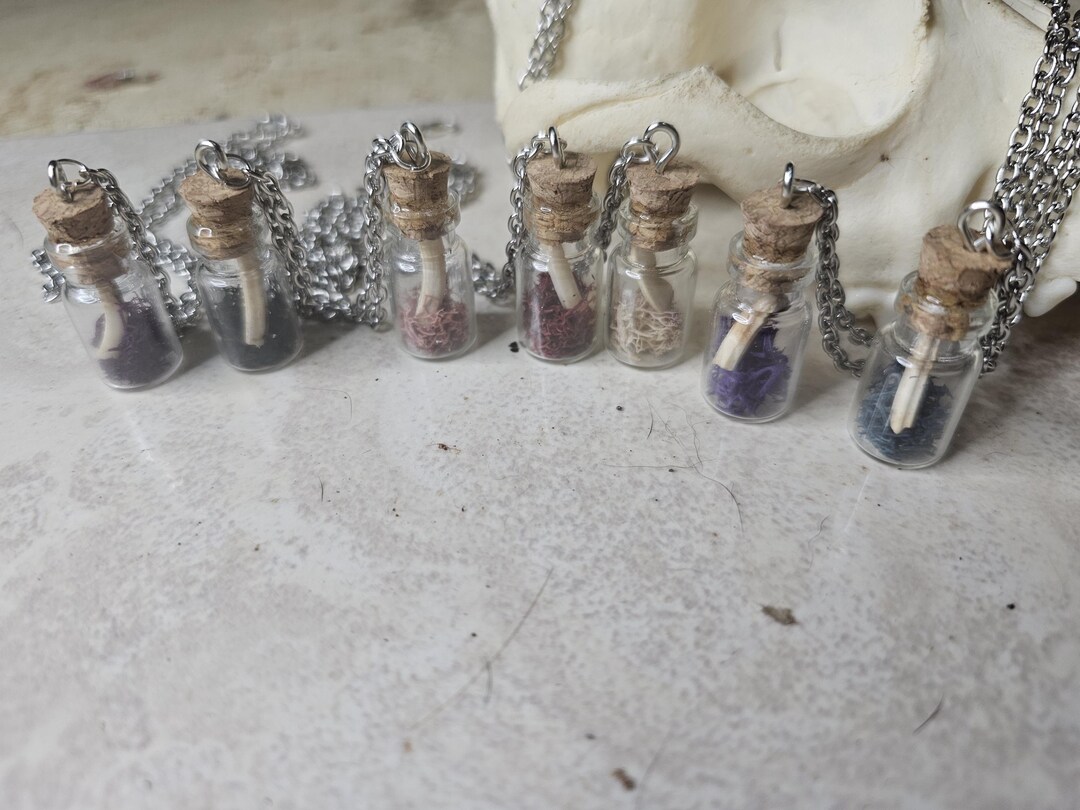 Mini Rabbit Tooth Terrarium Necklace - Etsy