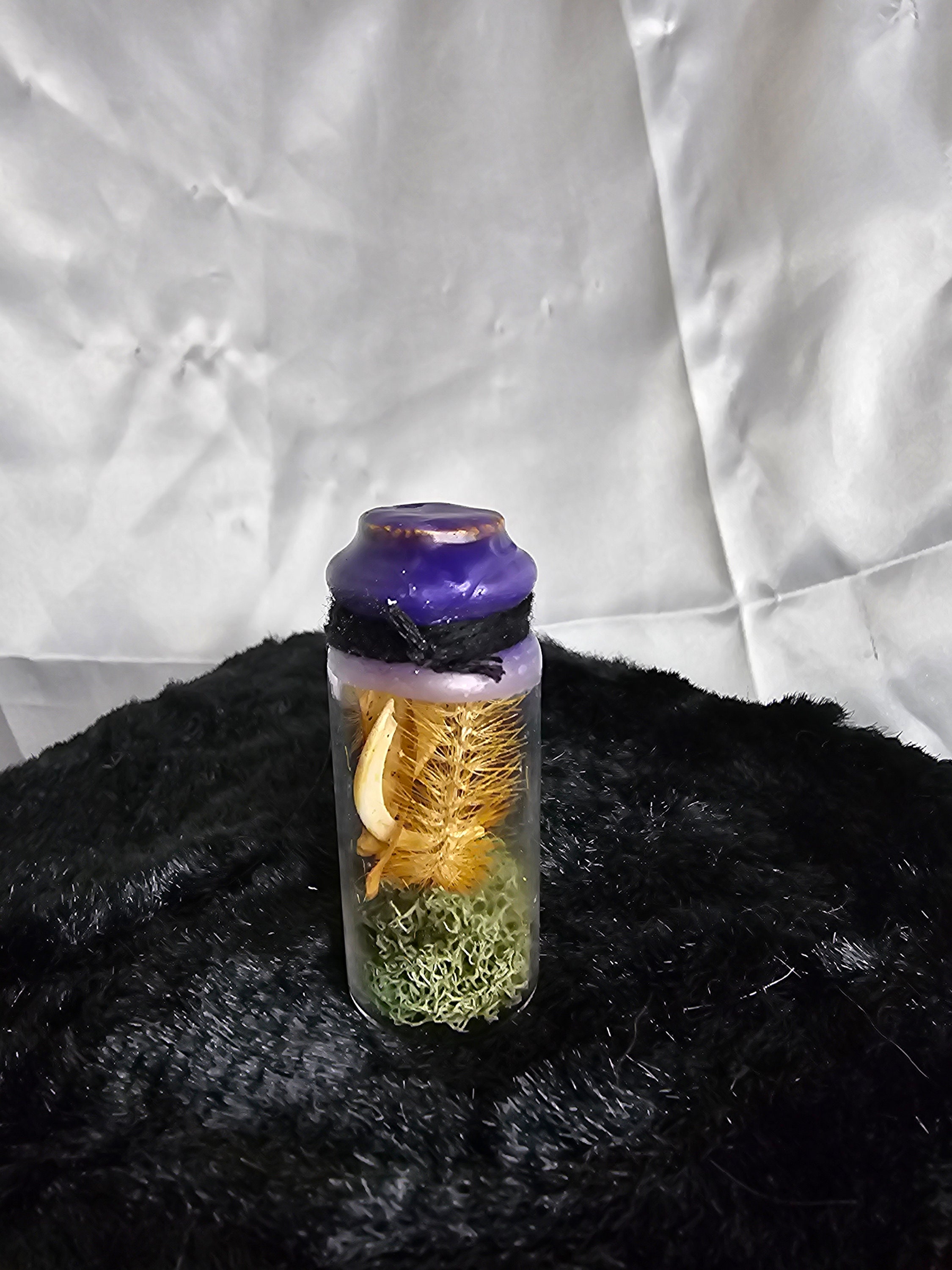 Rat Scapula and Tooth Terrarium - Etsy