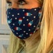 Fourth of July Fireworks Fabric Mask With Filters - Etsy