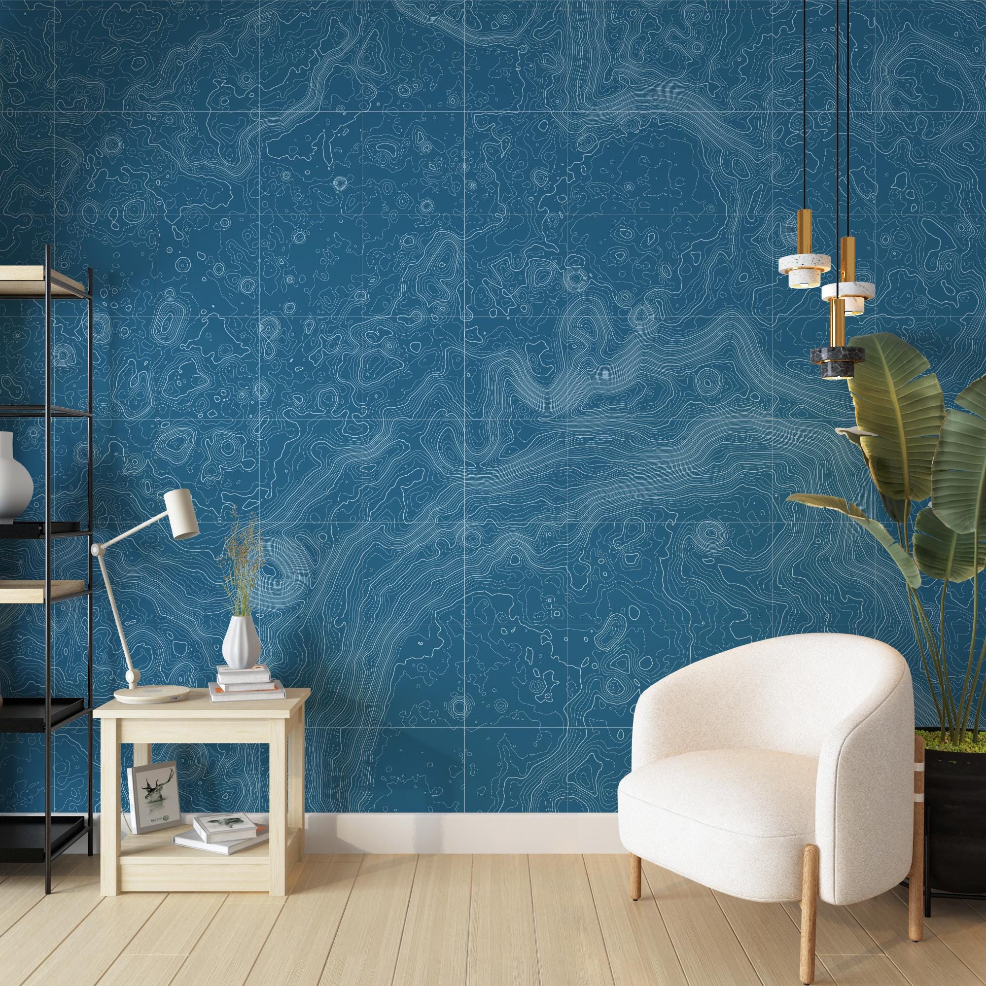 Moon Terrain Wall Mural – Blue Line Art Topography of Lunar Surface for ...