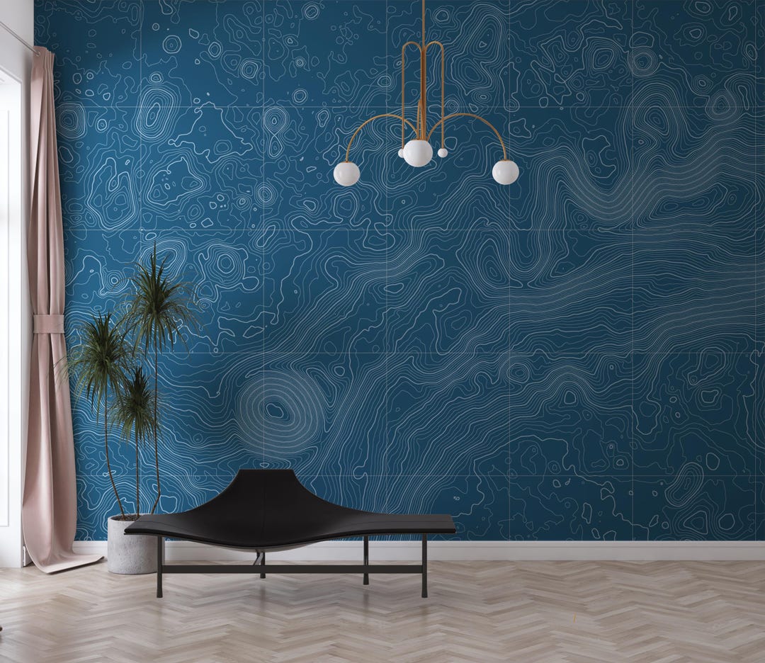 Moon Terrain Wall Mural – Blue Line Art Topography of Lunar Surface for ...