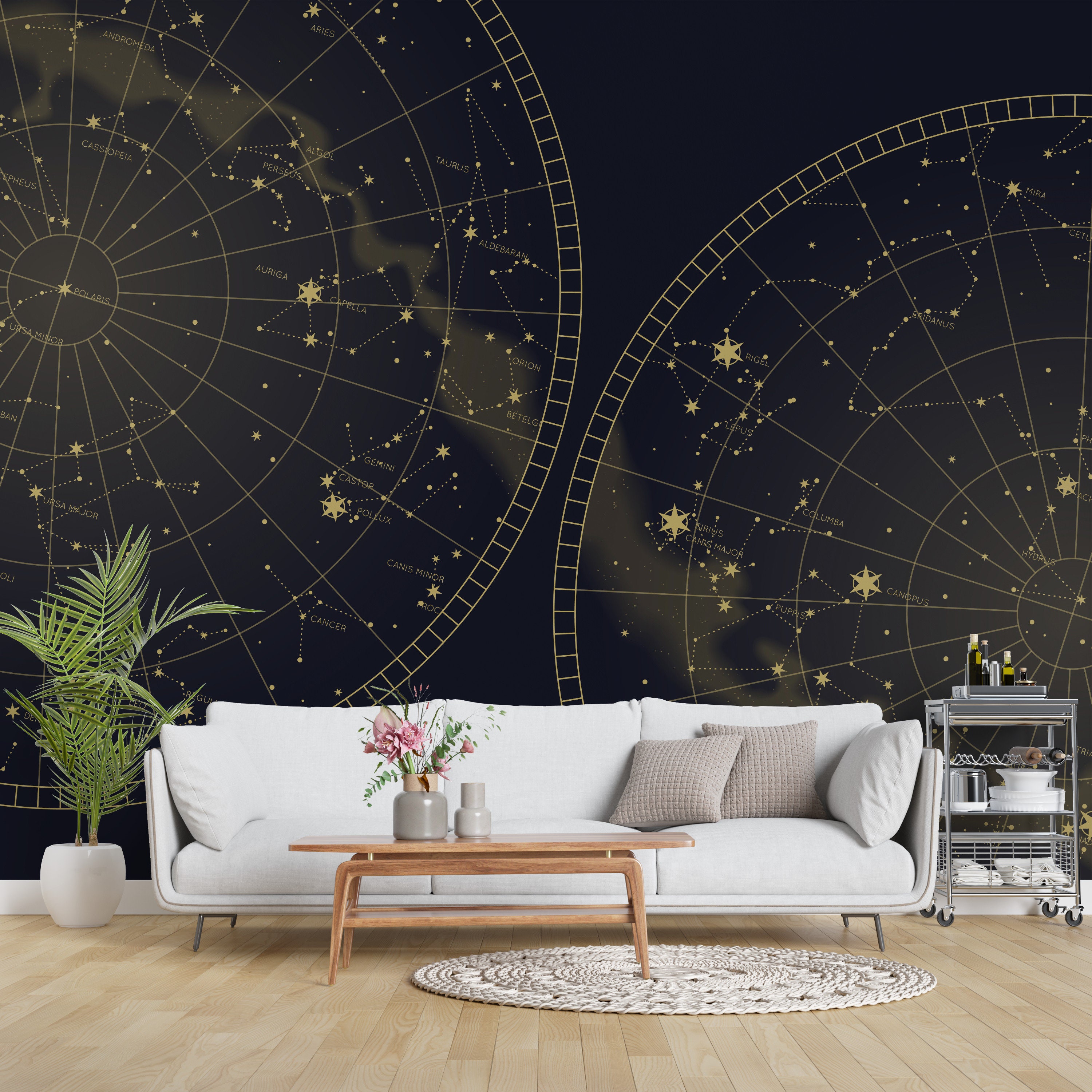 Star Constellations Wallpaper Mural | Peel and Stick Space Map - Etsy