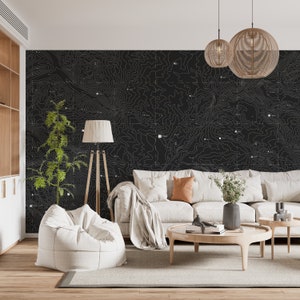 Dark Topographic Map Wallpaper | Pattern Wall Mural | Self Adhesive or ...