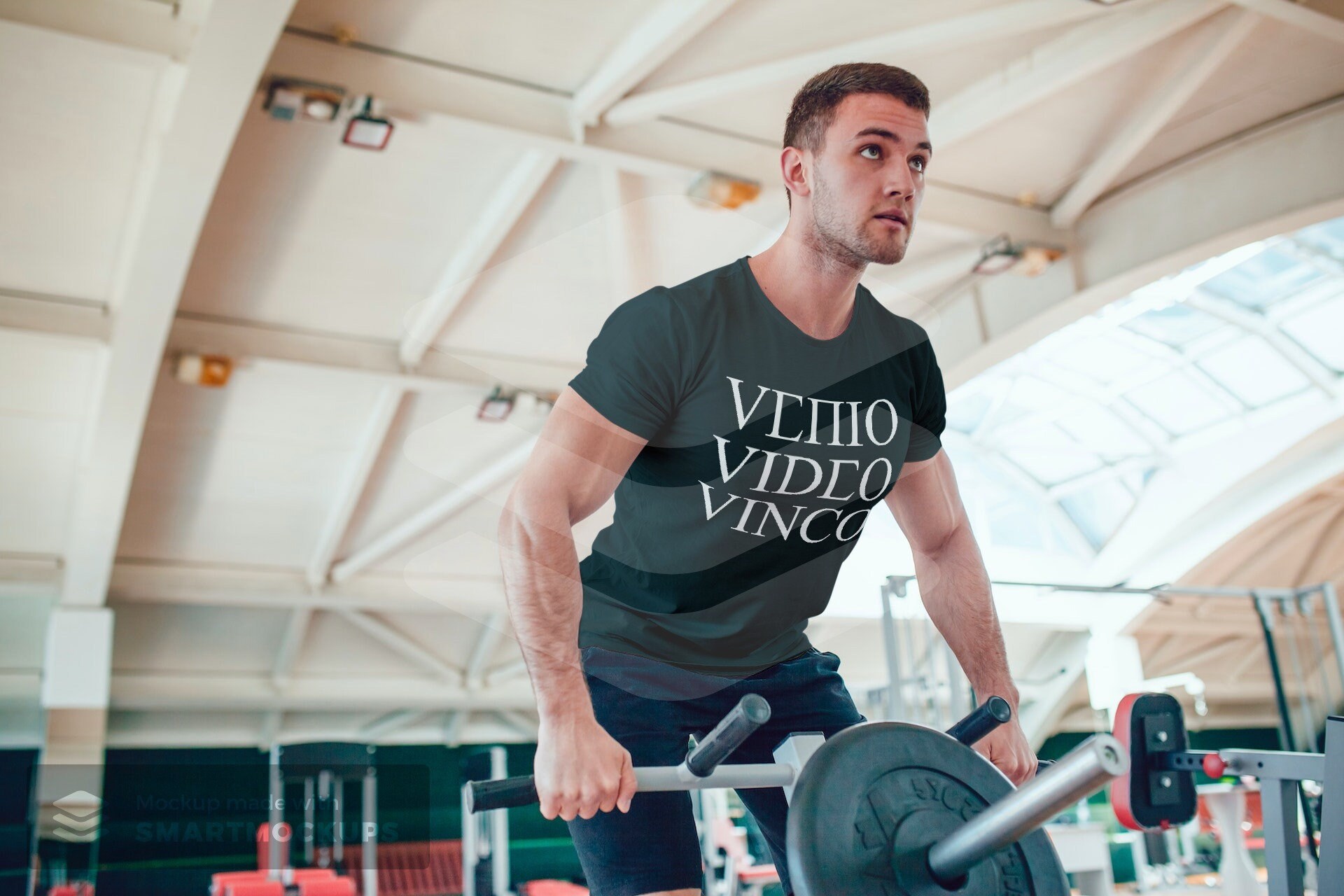 Venio Video Vinco (veni Vidi Vici) | Latin Phrase Unisex T-shirt - Etsy