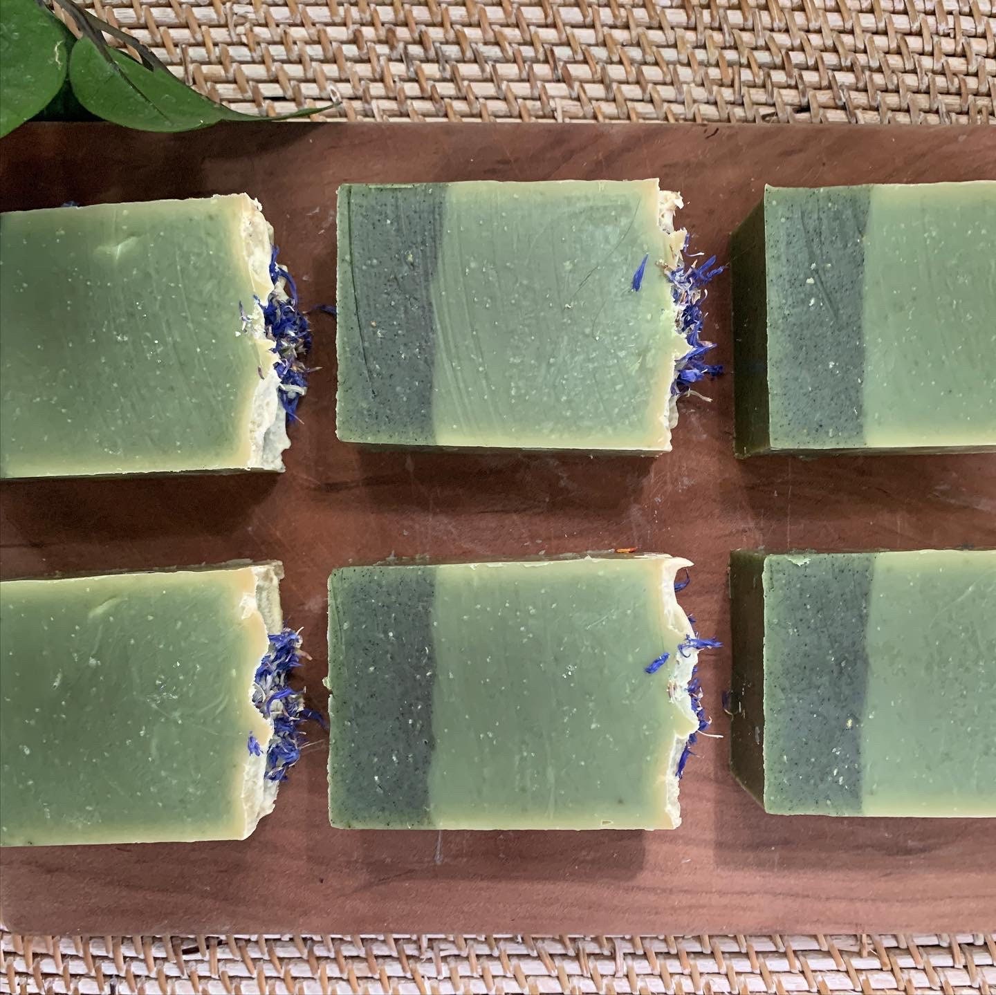 Lush Succulent~ small batch, cold process, palm free, handcrafted ...