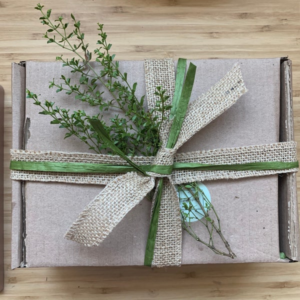 Desert Themed Gift - 60+ Gift Ideas for 2025