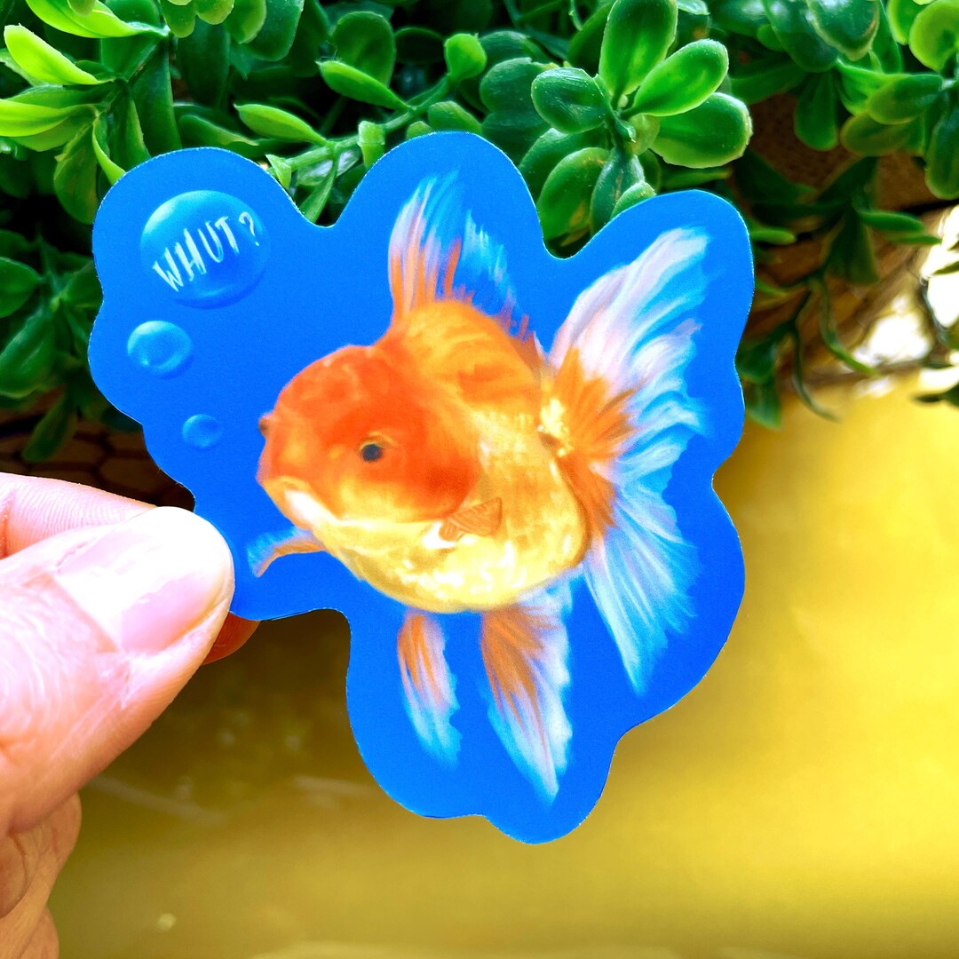 Goldfish Funny Sticker|forgetful Fish Vinyl Sticker - Etsy