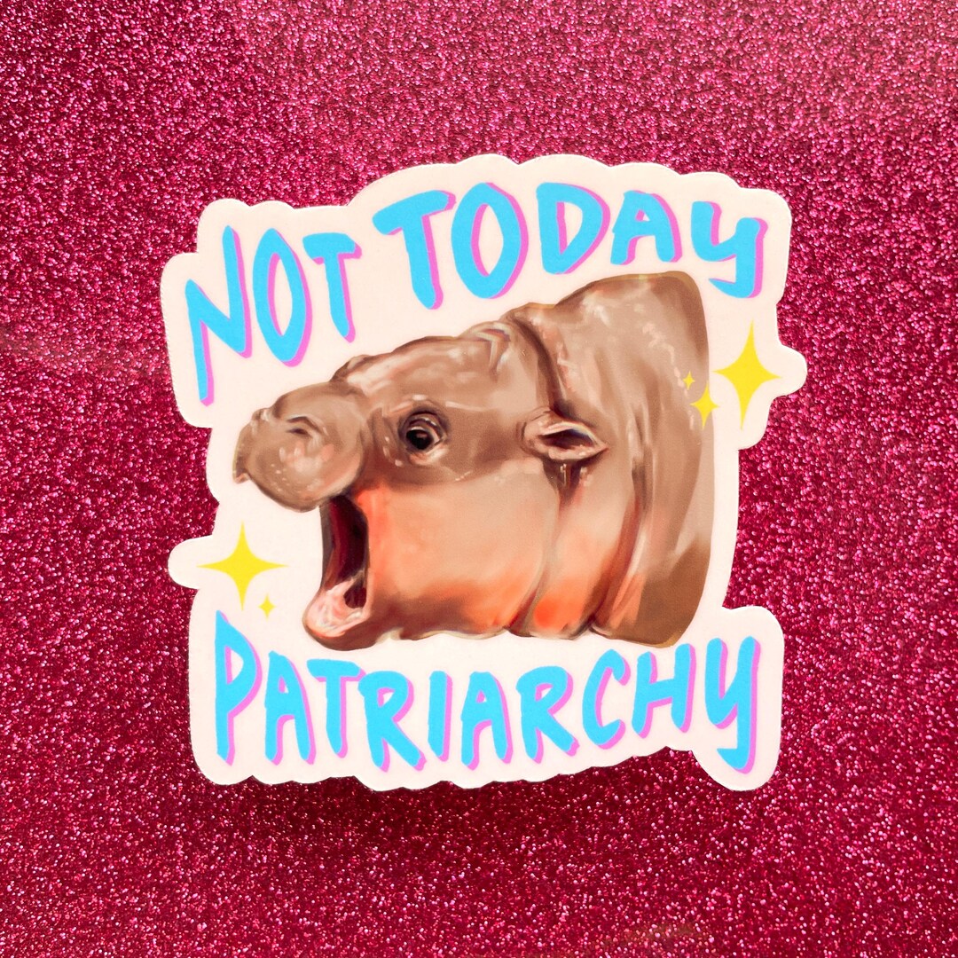 Feminine Rage Patriarchy Funny Sticker Moo Deng - Etsy