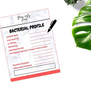 Microbiology Note Taking Study Templates Digital Fill-able PDF ...