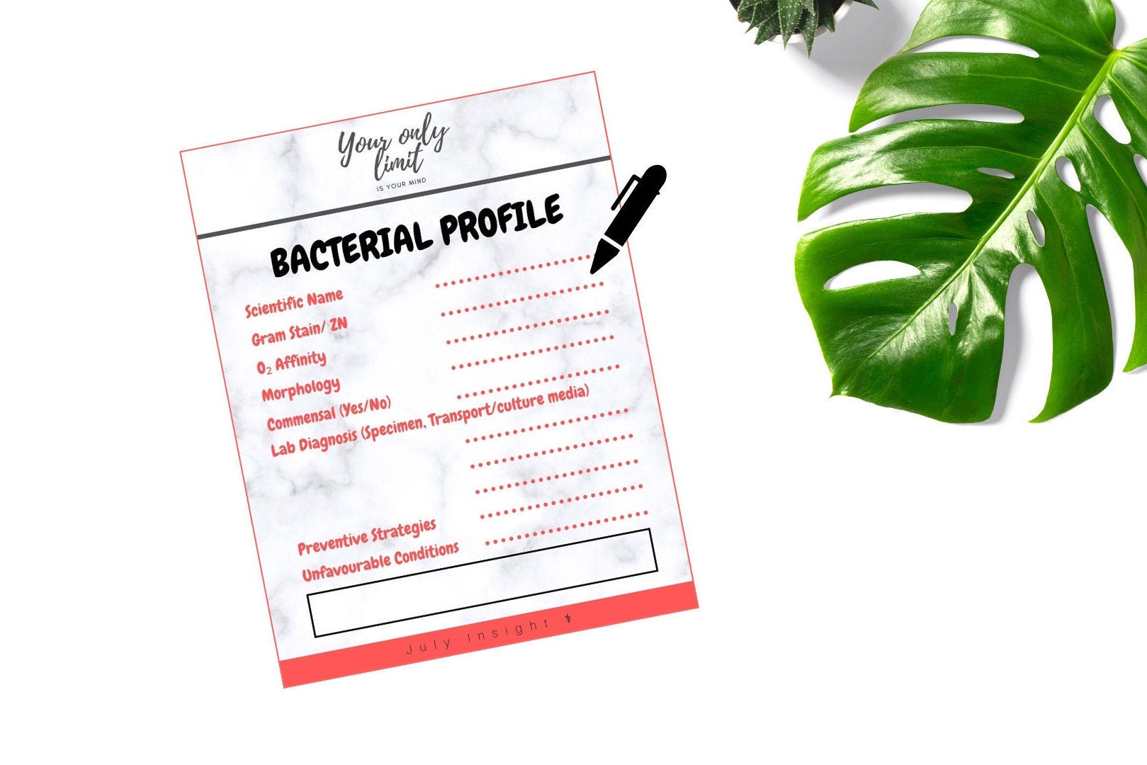 Microbiology Note Taking Study Templates Digital Fill-able PDF ...
