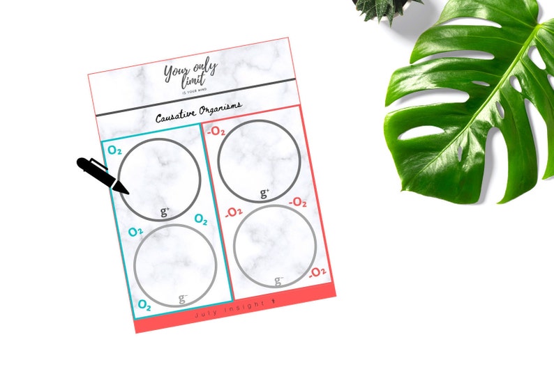 Microbiology Note Taking Study Templates Digital Fill-able PDF ...