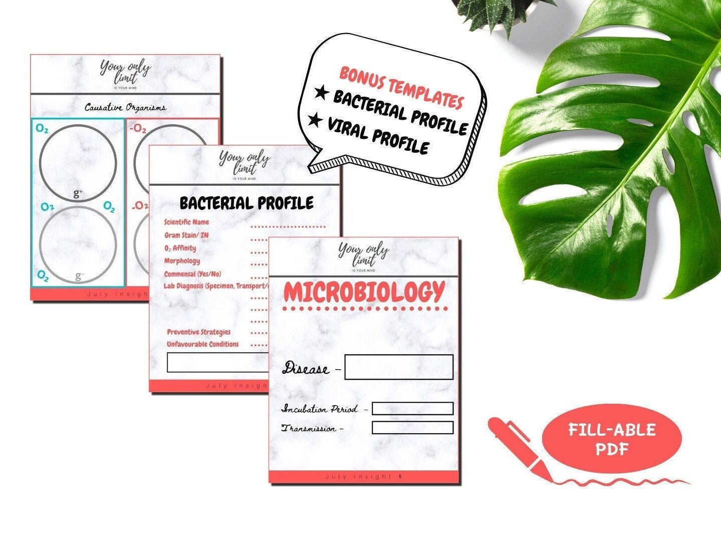 Microbiology Note Taking Study Templates Digital Fill-able PDF ...