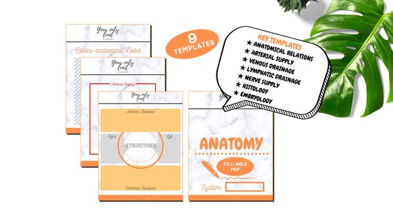 Anatomy Mind Maps Digital Fill-able PDF Printable Note Taking | Etsy