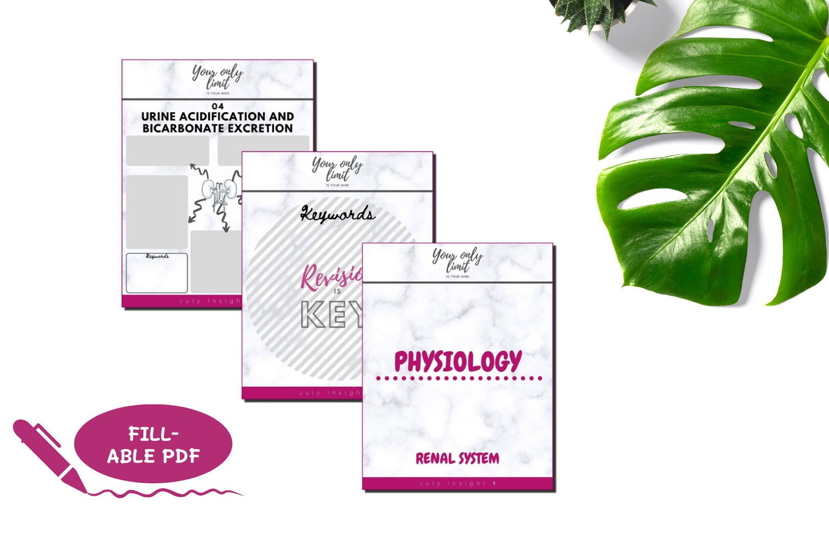 Physiology Mind Maps Digital Fill-able PDF Printable Note - Etsy