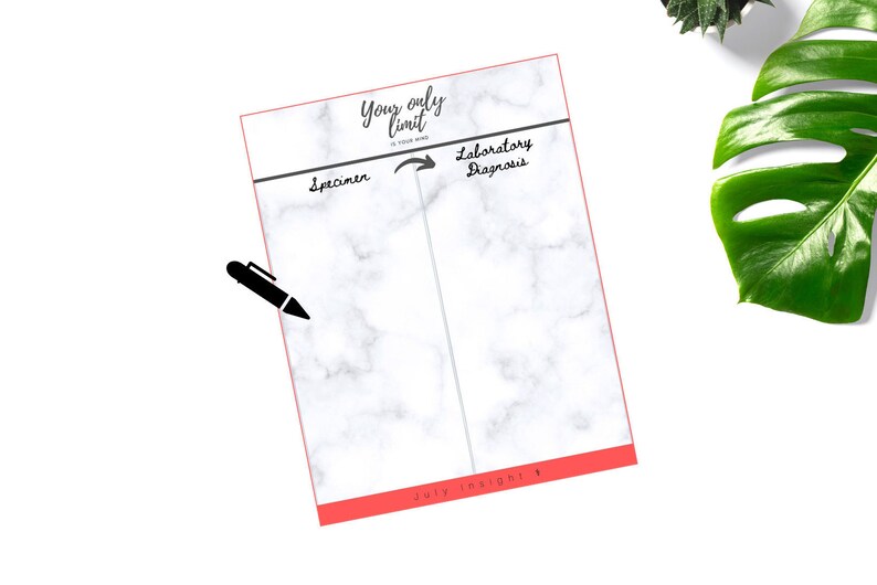 Microbiology Note Taking Study Templates Digital Fill-able PDF ...