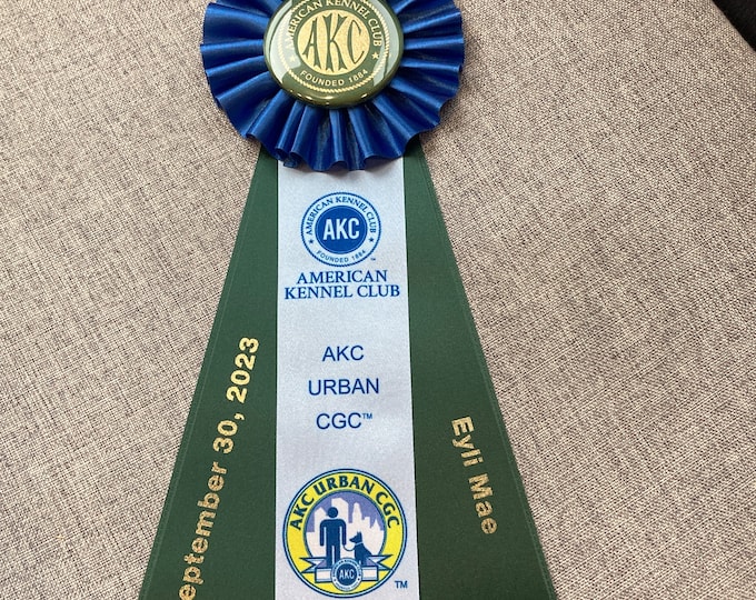 CUSTOM Satin Award Ribbon Single Tail - Etsy
