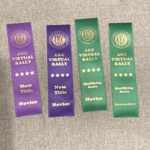 Flat Qualifying & New Title Ribbons - AKC Trick Dog, Virtual Scent Work ...