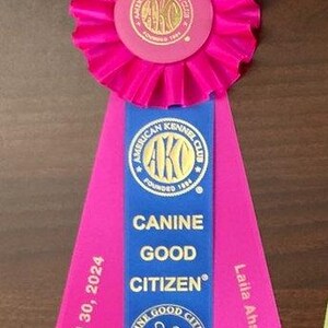 Personalized AKC Canine Good Citizen, Virtual Home Manners, Star Puppy ...