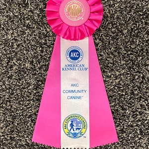 Personalized AKC Canine Good Citizen, Virtual Home Manners, Star Puppy ...