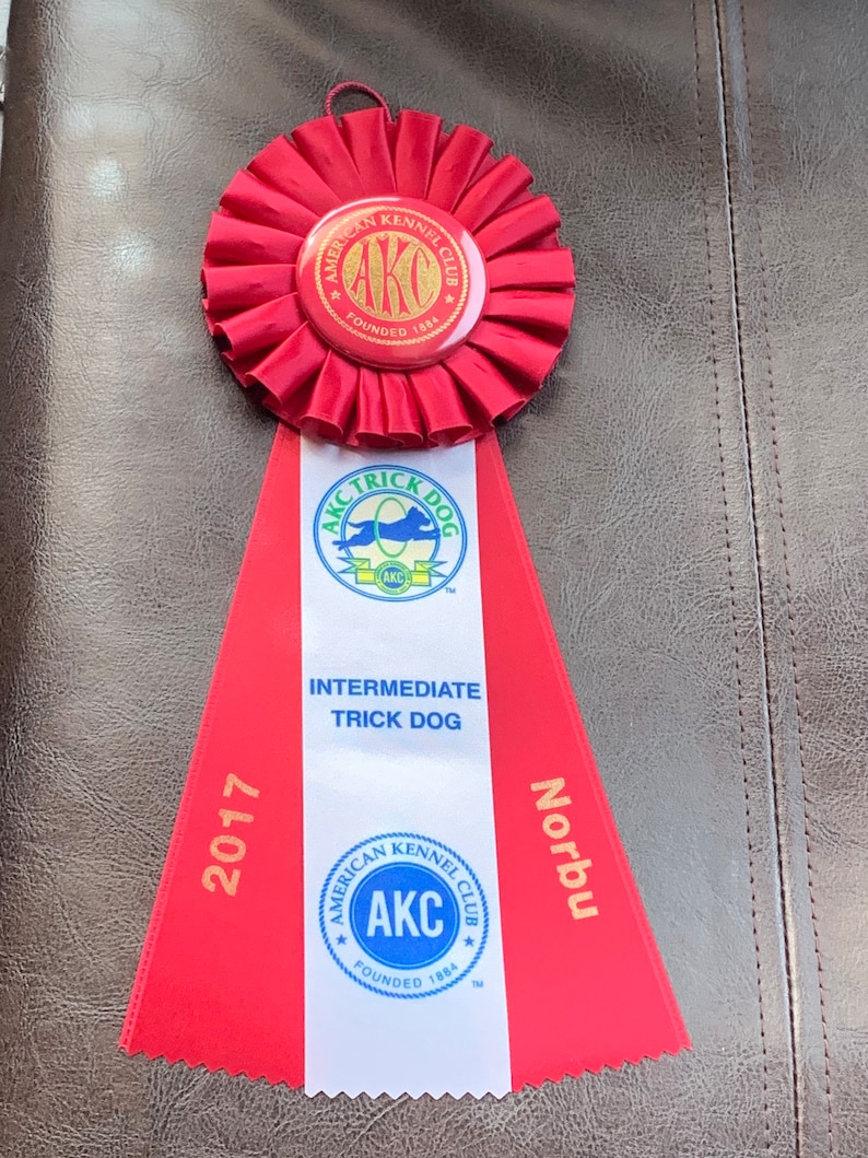 Personalized AKC Trick Dog Rosette Title Ribbons Novice - Etsy