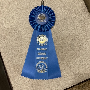 Personalized AKC Canine Good Citizen, Virtual Home Manners, Star Puppy ...