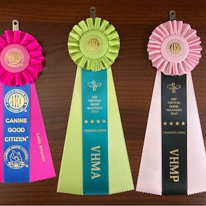 Personalized AKC Canine Good Citizen & Virtual Home Manners Rosette ...
