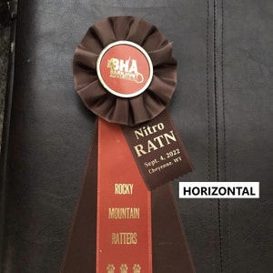 Personalized Award Ribbon Side Tabs - (DOES NOT Include Rosette! 4-5 ...
