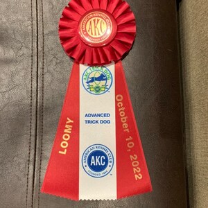 Personalized AKC Trick Dog Rosette Title Ribbon Novice - Etsy