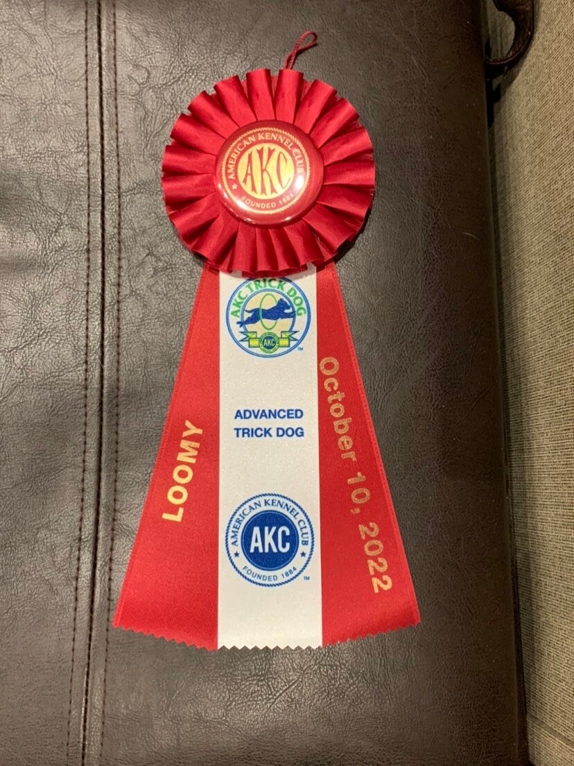 Personalized AKC Trick Dog Rosette Title Ribbons Novice - Etsy