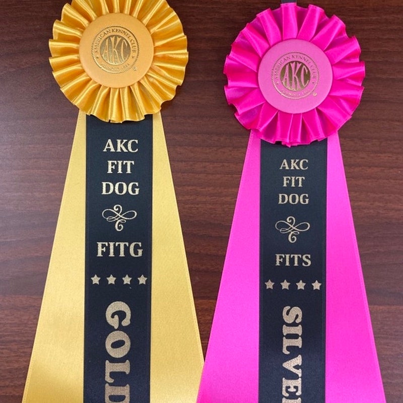 Dog Show Ribbons - Etsy