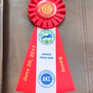 Personalized AKC Trick Dog Rosette Title Ribbon Novice, Intermediate ...