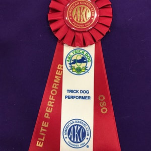 Personalized AKC Trick Dog Rosette Title Ribbon Novice - Etsy
