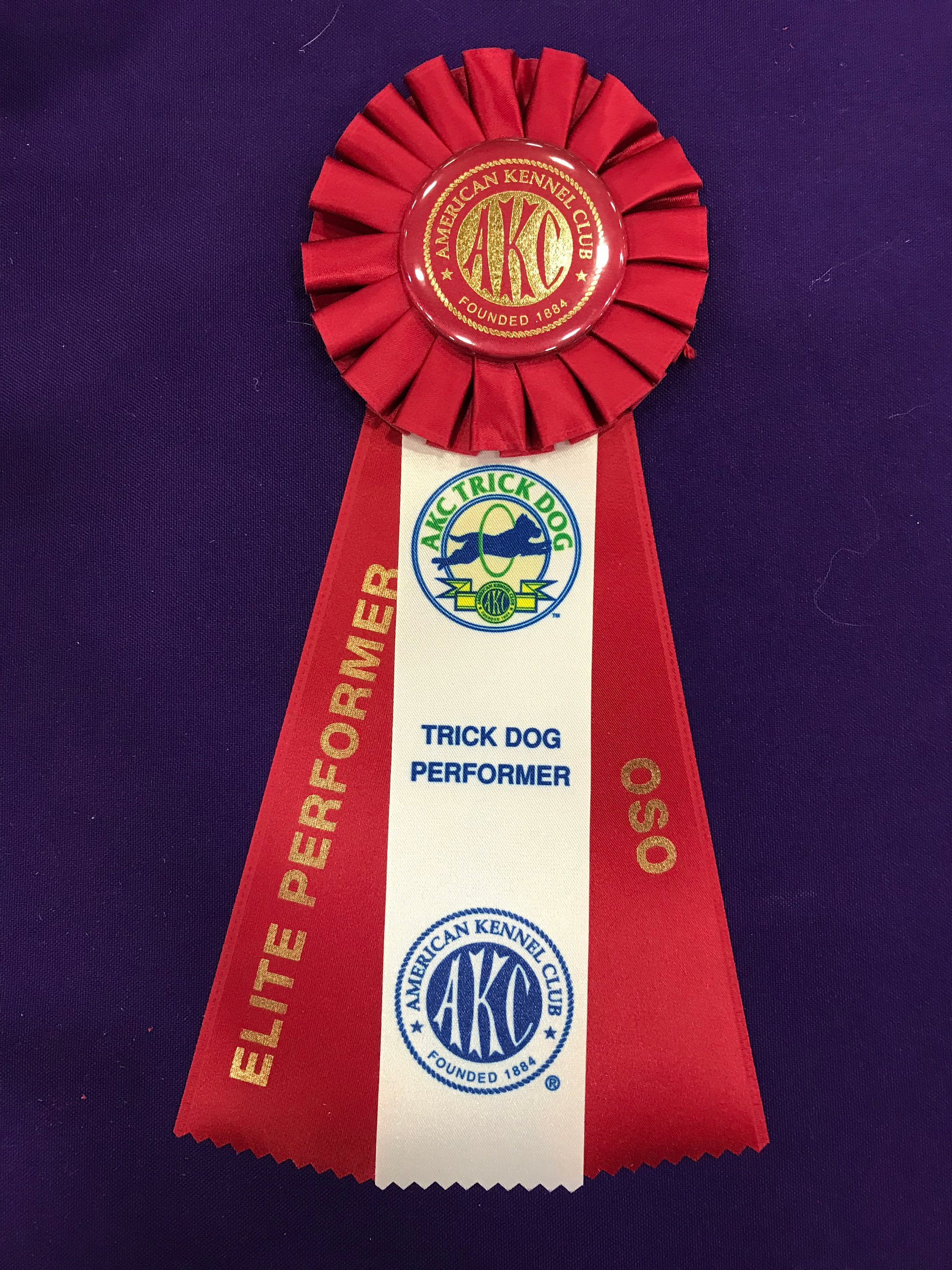 Personalized AKC Trick Dog Rosette Title Ribbons Novice - Etsy