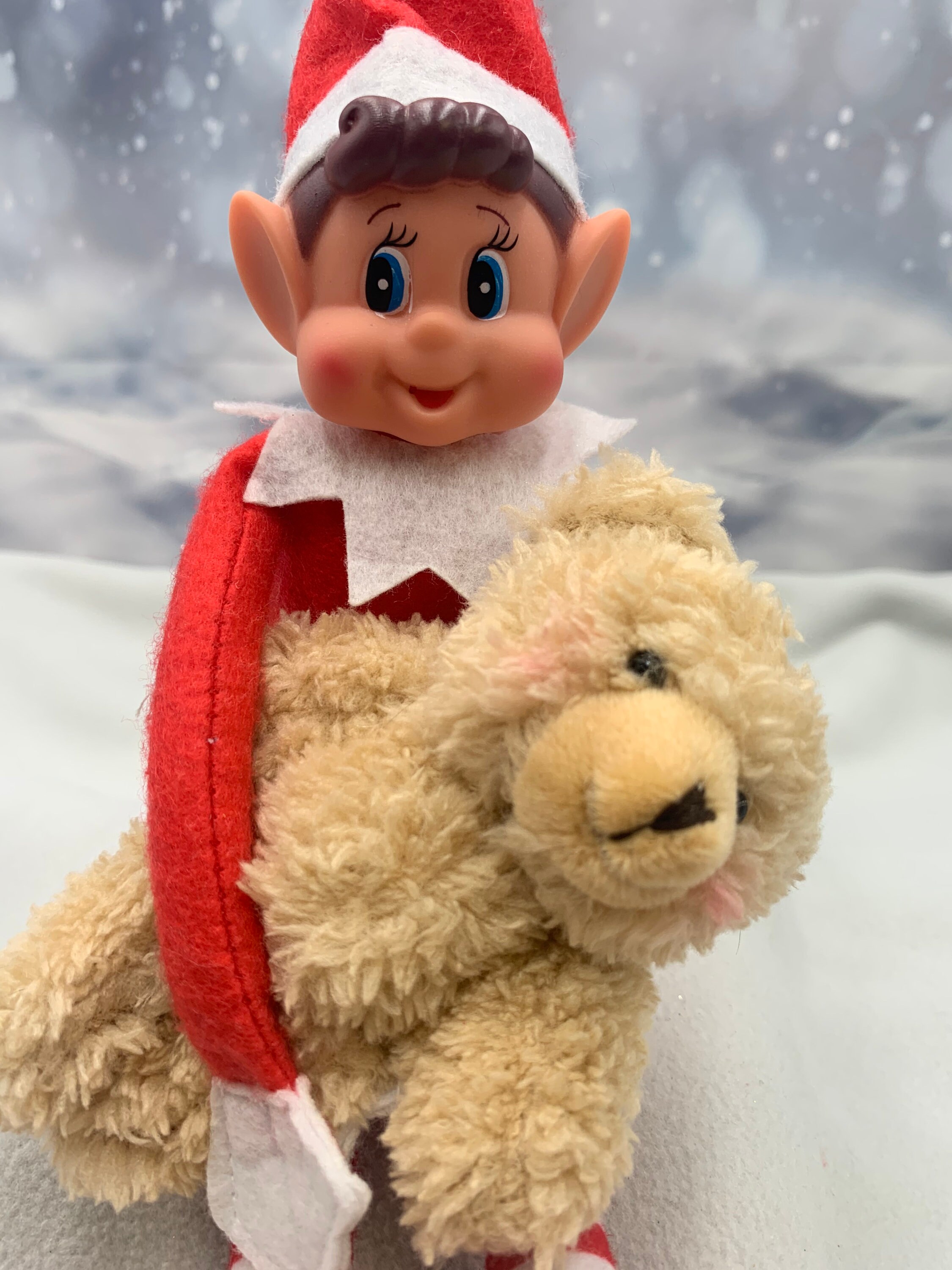 Elf Sized Super Soft Teddy Bear Elf Prop Elf Accessory Elf | Etsy India