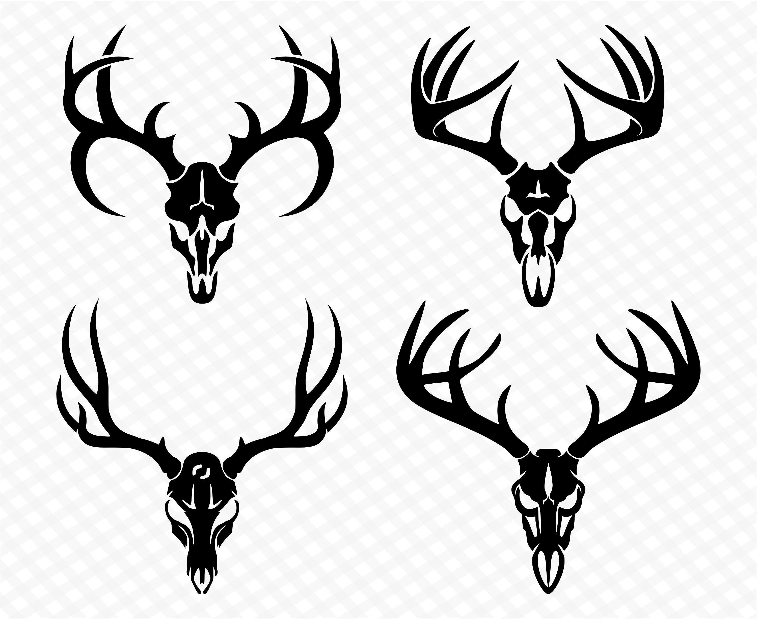 Deer Skull Antler Drawing