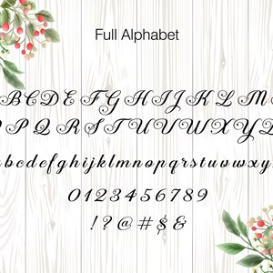 Wedding Font Cursive Font Ttf Svg Cursive Font for Cricut Wedding ...