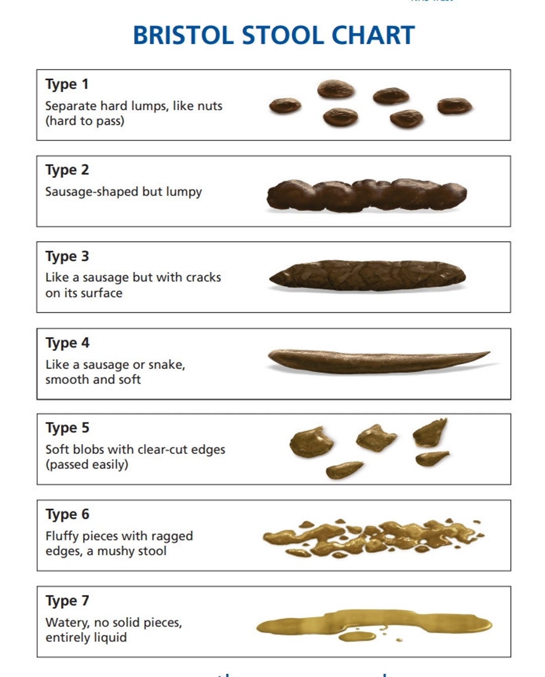 Bristol Stool Chart Poster Uk at Eric Mullins blog