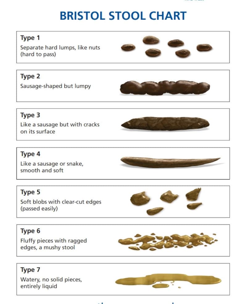 Bristol Stool Chart Poster, Health Poster, Healthy Poop, Medical ...