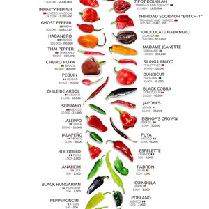 Know Your Scoville Heat Scale Wall Art, Spiciness and Pungency in Hot ...