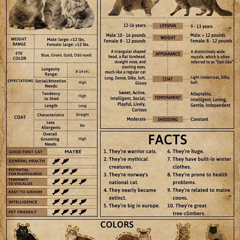 Therian Poster - Etsy