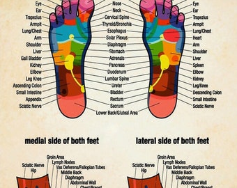 Massage Therapist Foot Reflexology Chart 1 Poster Vintage - Etsy Canada