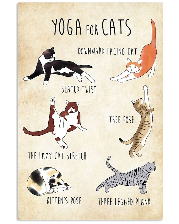 Yoga Cats