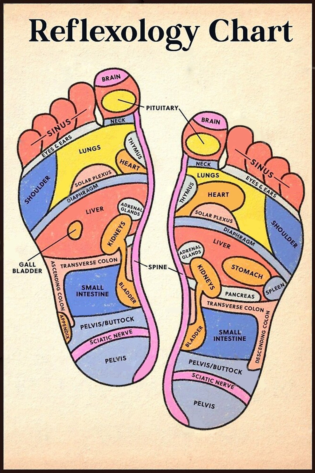 Foot Reflexology Chart Poster 2, Massage Therapist Gift Poster, Vintage ...