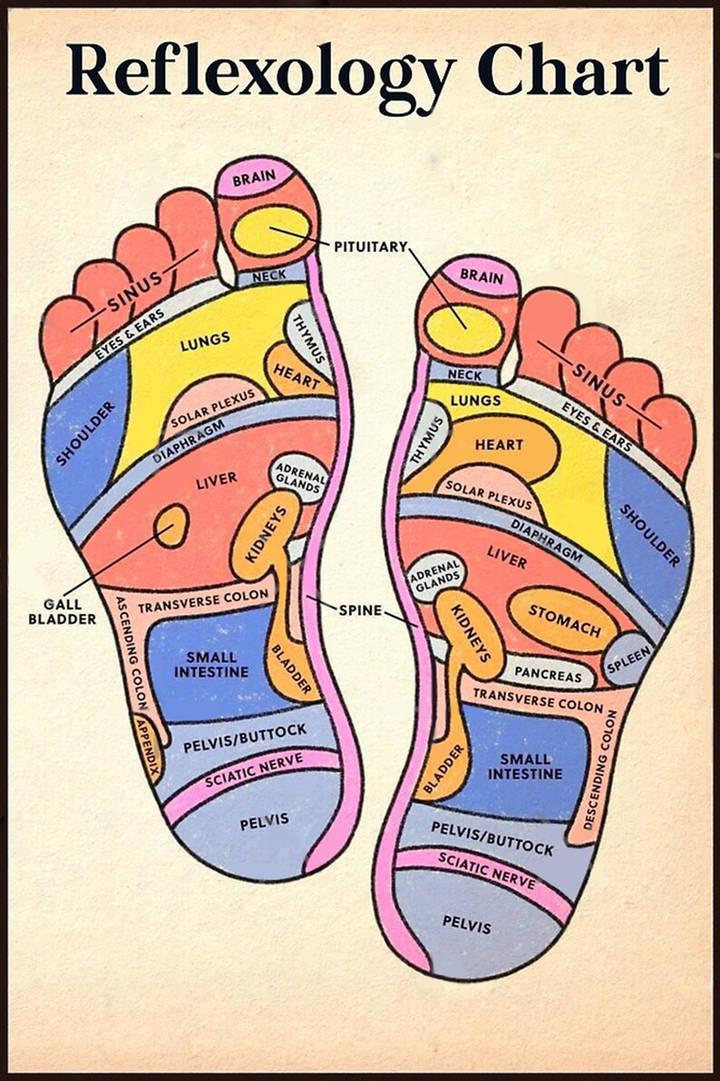 Foot Reflexology Chart Poster 2, Massage Therapist Gift Poster, Vintage ...