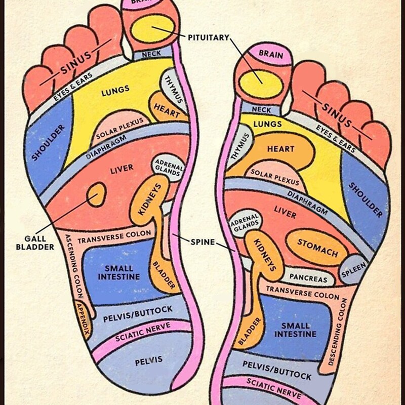 Reflexology Poster - Etsy