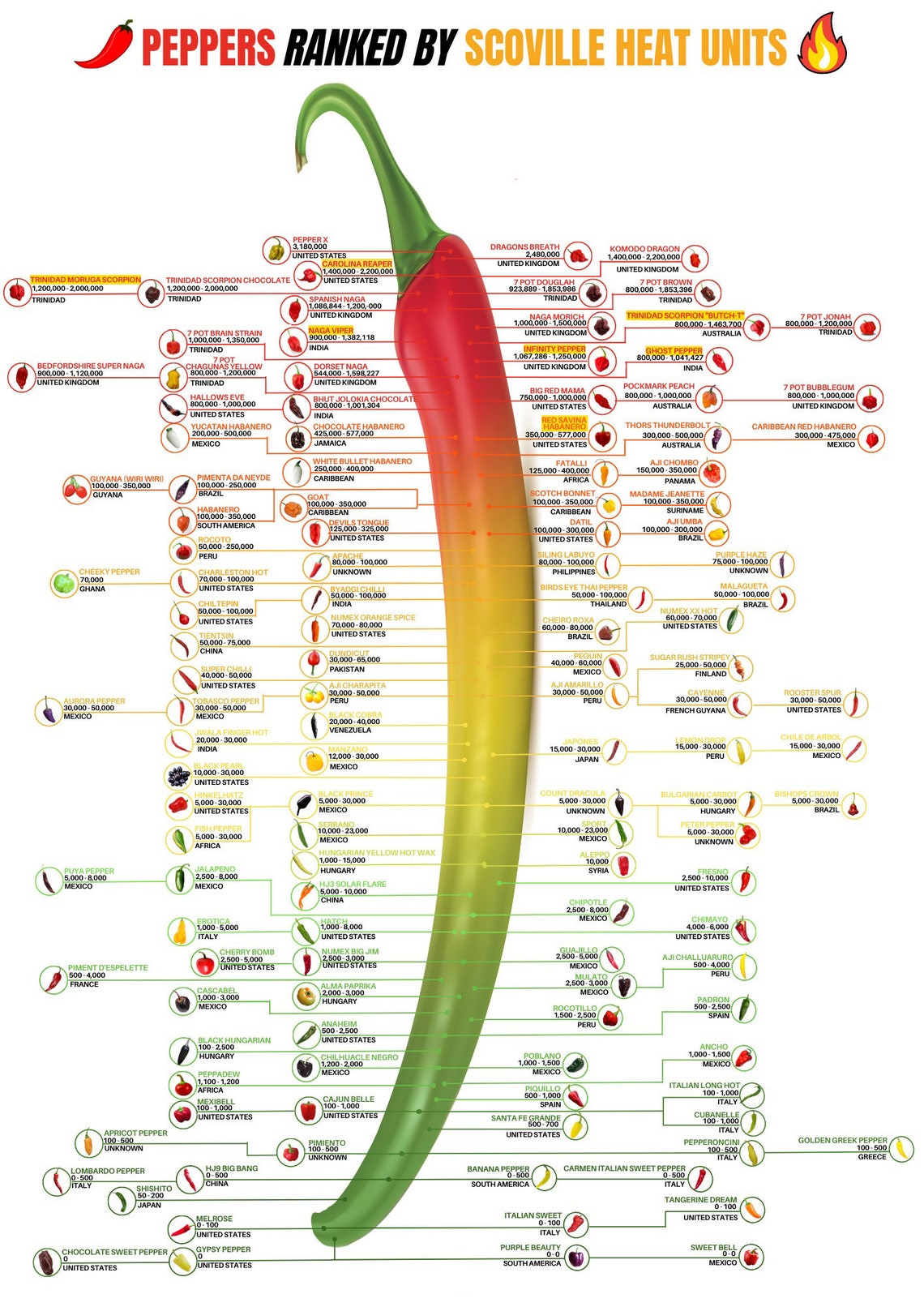 Scoville Chart Poster, Scoville Pepper Scale, Chillies Ranked by ...