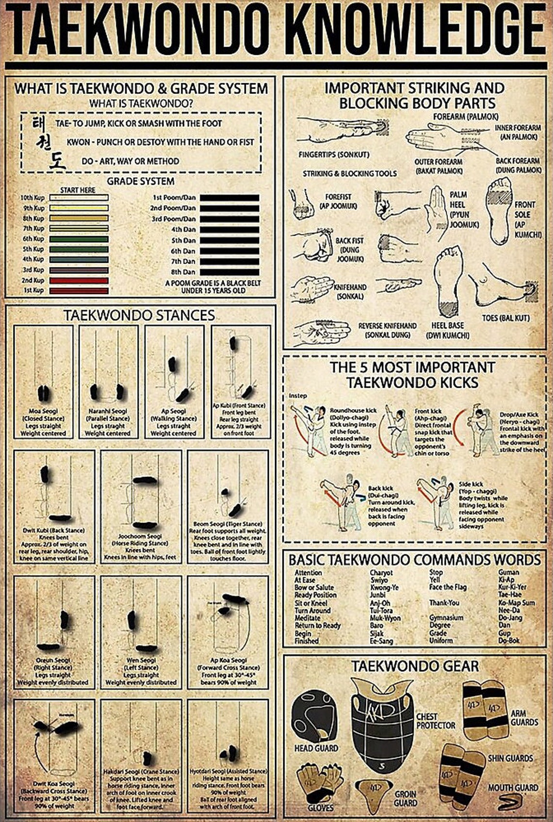 Taekwondo Knowlegde Poster Home Decor Posteranniversary - Etsy