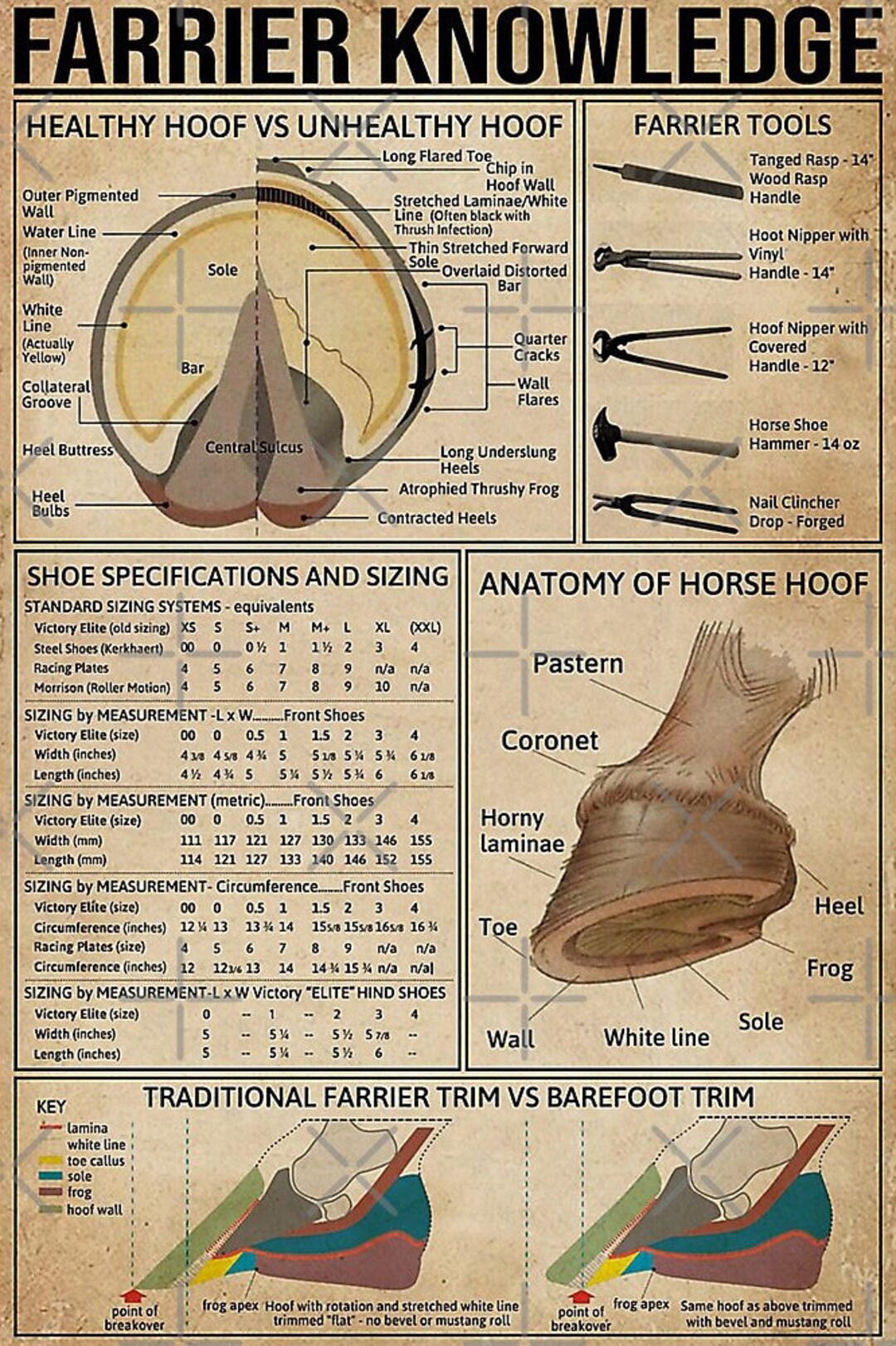 Farrier Knowledge Poster, Home Decor - Etsy