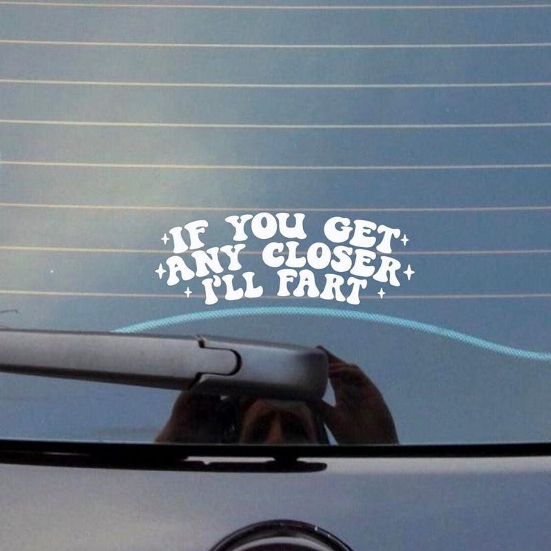 Car Window Decals Funny - Etsy