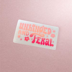 Unhinged and Feral Funny Car Decal - Car Window Decal Sticker, Car ...